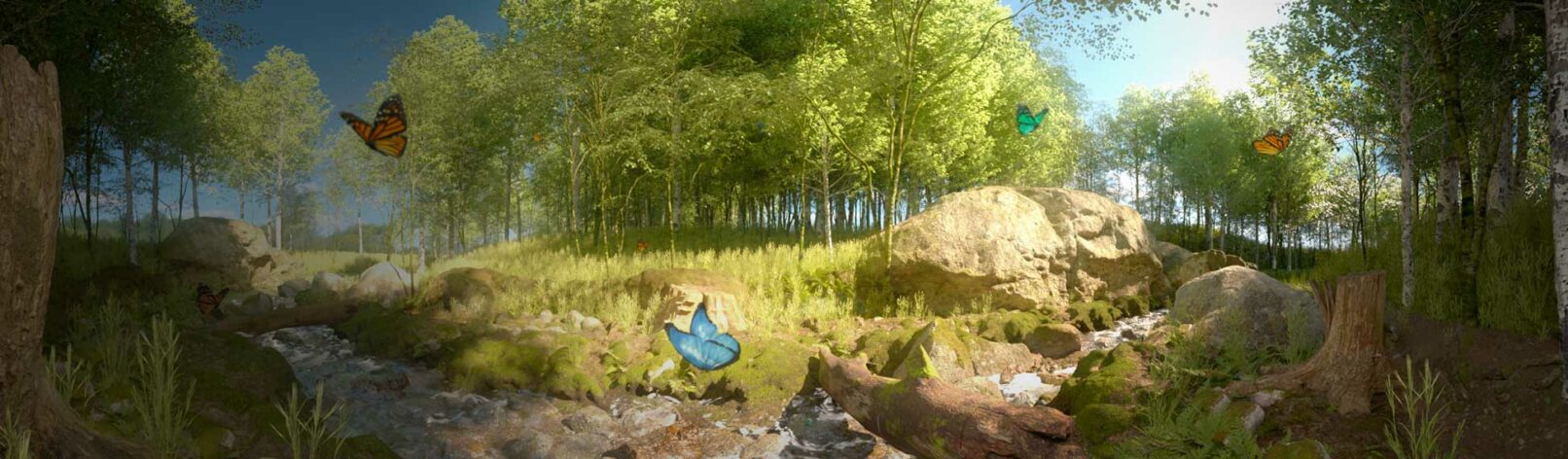 Documentation - Shine VR